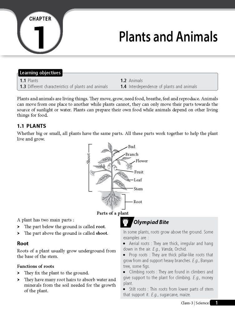 Olympiad Prep-Guide Science Class-3 - MTG Learning Media