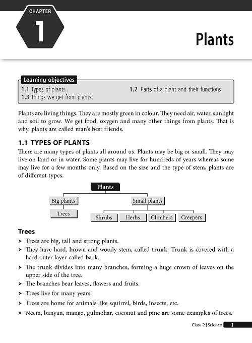 Olympiad Prep-Guide (OPG) Class 2 Science (NSO) - Detailed Theory, Self ...