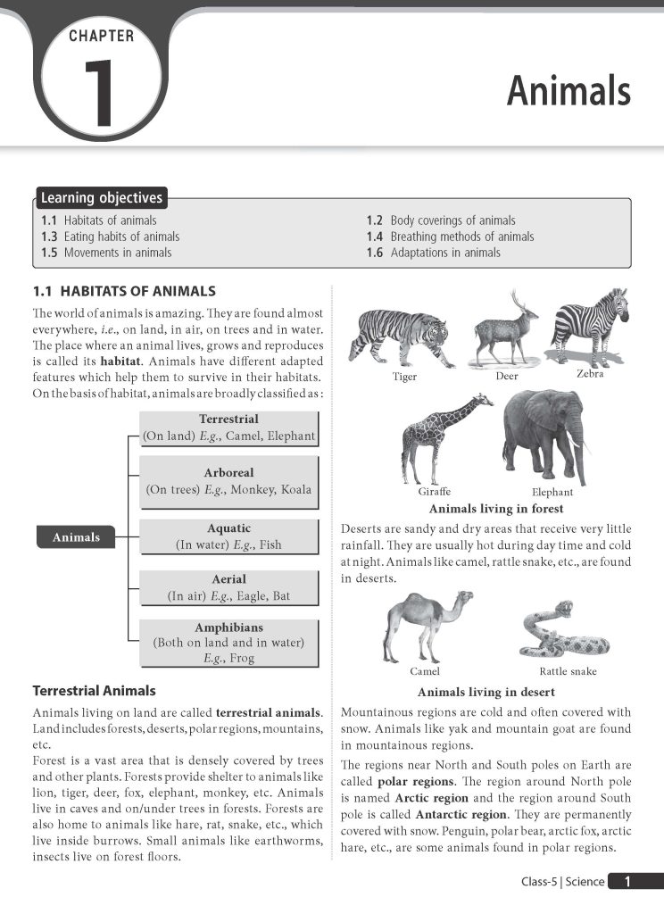 Olympiad Prep-Guide Science Class-5 - MTG Learning Media