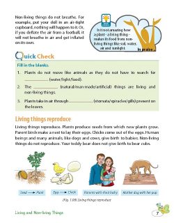 Class 3-Integrated Learning Science with NEP Guidelines - MTG Learning ...