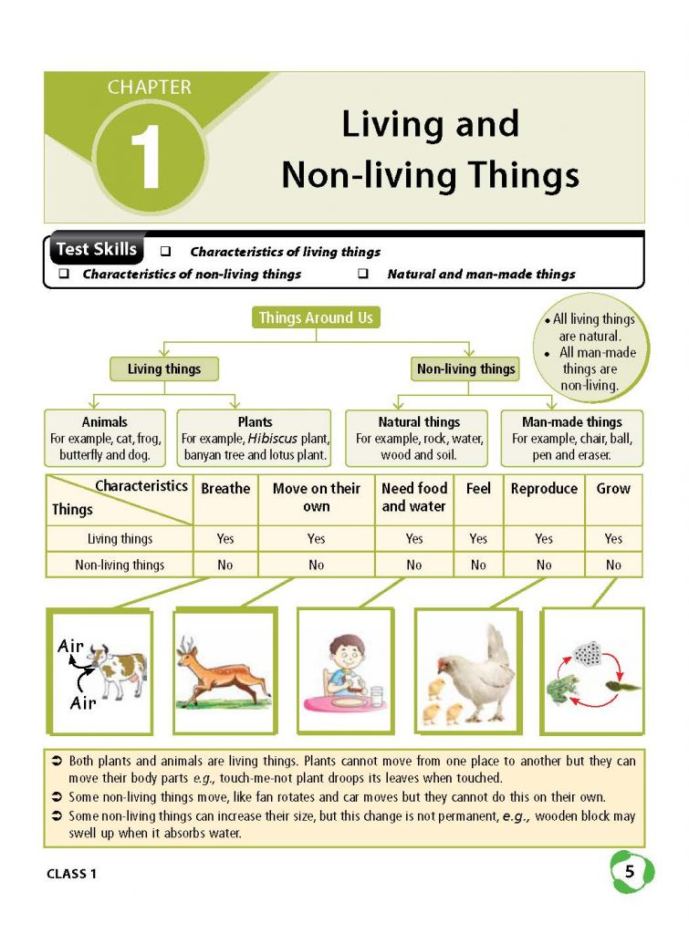 National Science Olympiad Work Book-Class 1 - MTG Learning Media