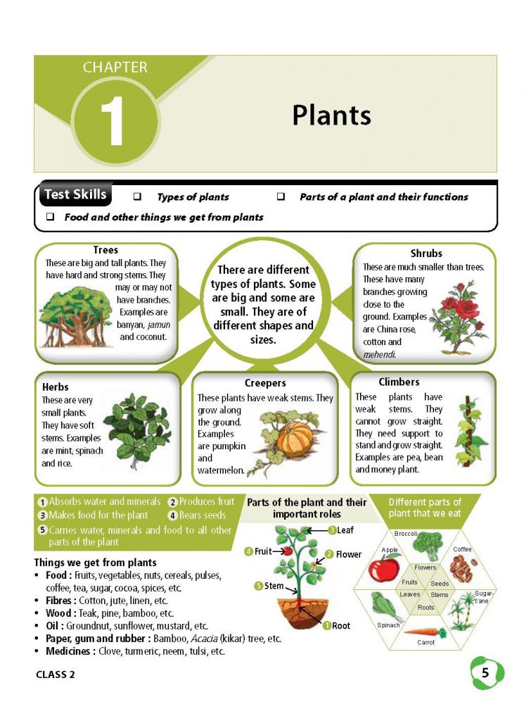 National Science Olympiad Work Book-Class 2 - MTG Learning Media
