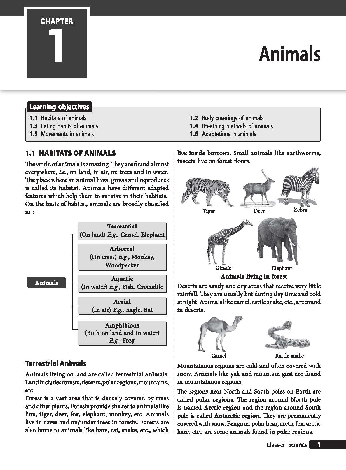 Olympiad Prep-Guide Science Class-5 - MTG Learning Media
