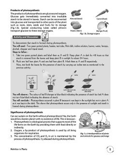 Class 7-Integrated Learning Science with NEP Guidelines - MTG Learning ...