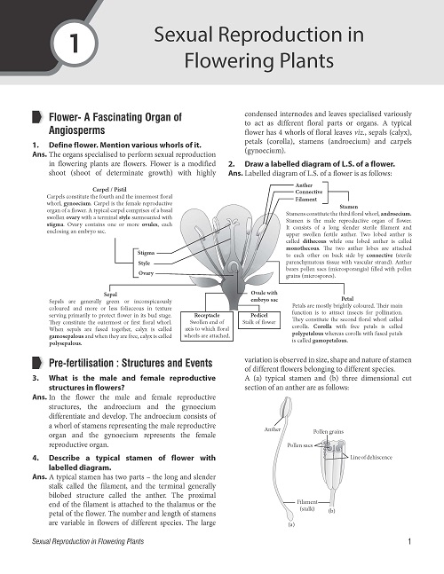 MTG CBSE Chapterwise Instant Notes Class 12 Biology - Quick Recap Notes ...