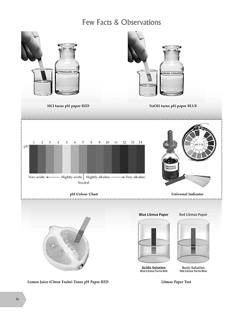 Lab Manual Class 10 Science Book | Based on CBSE Syllabus | Lab ...